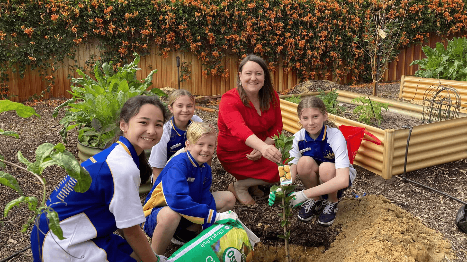 Emily Hamilton: Edgewater Primary School Announcement